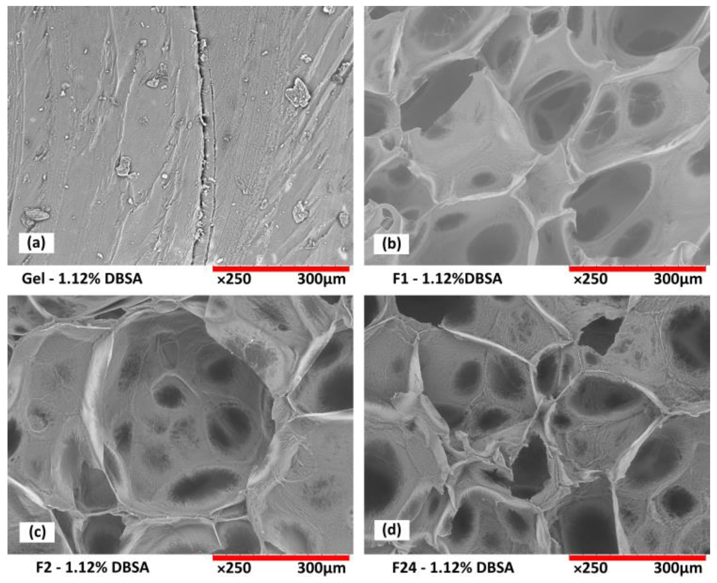 The Electrical and Mechanical Characteristics of Conductive PVA/PEDOT:PSS Hydrogel Foams for ...