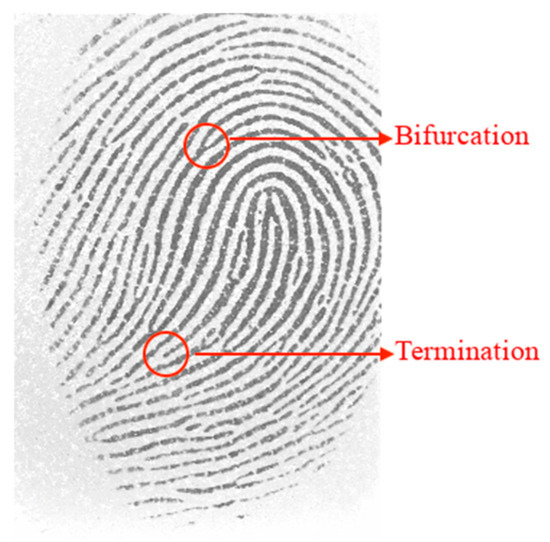 Fingerprint Recognition in Forensic Scenarios