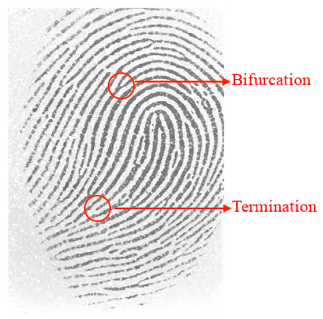 Sensors | Free Full-Text | Fingerprint Recognition in Forensic Scenarios
