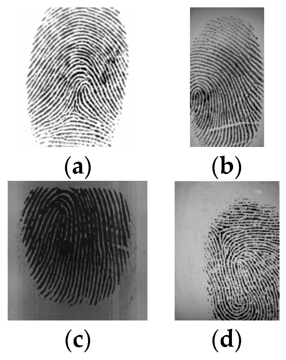 Sensors | Free Full-Text | Fingerprint Recognition in Forensic Scenarios