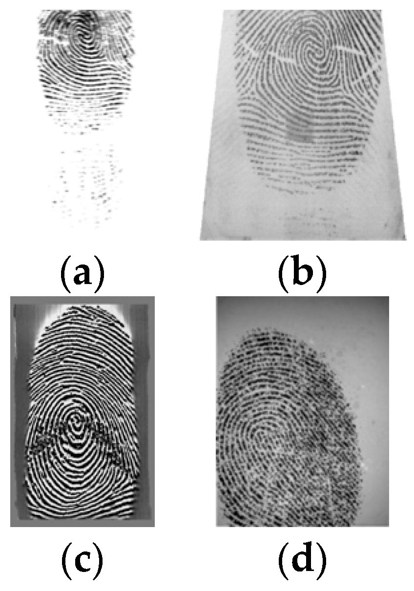 Fingerprint Recognition in Forensic Scenarios