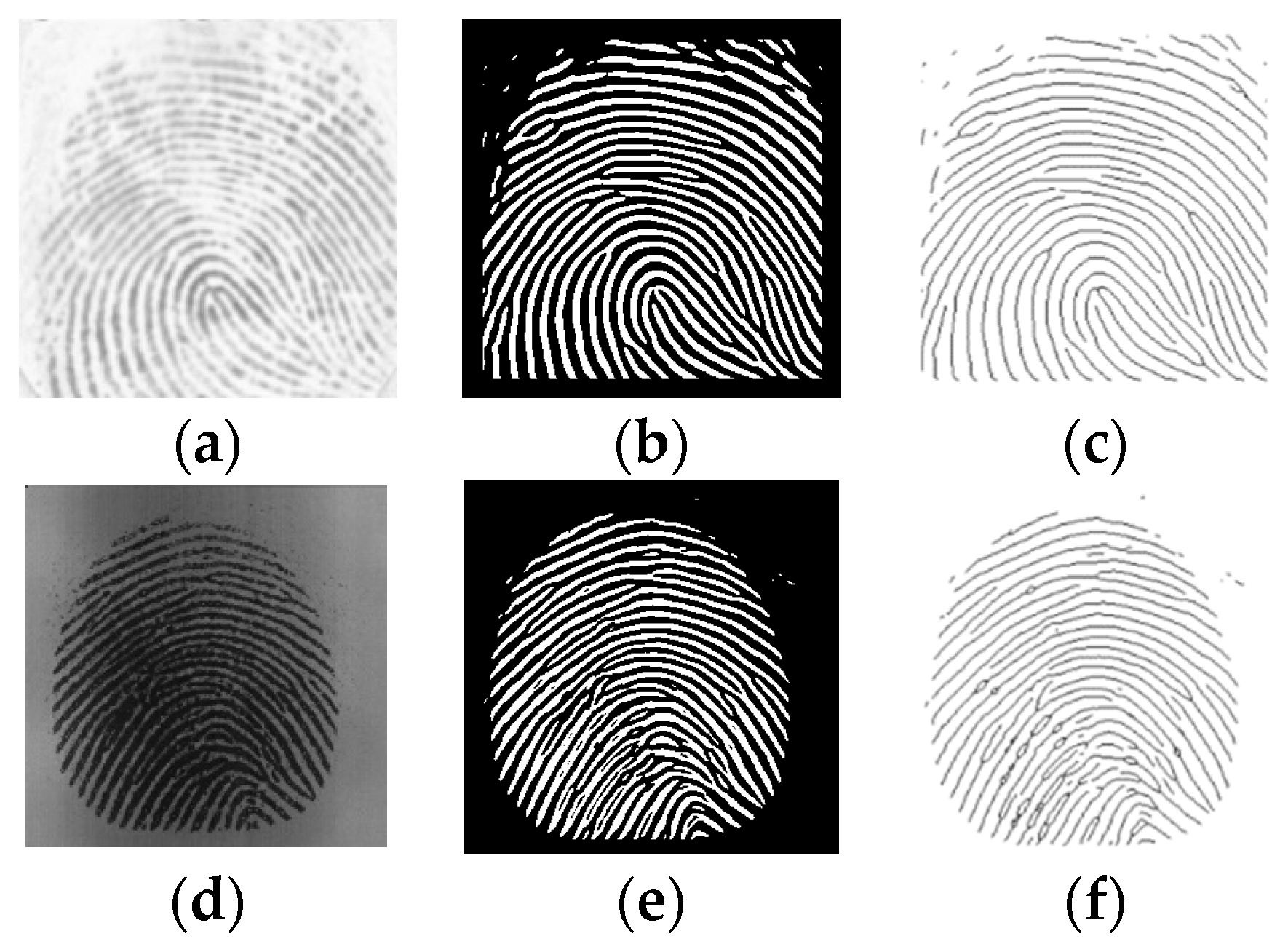 Sensors | Free Full-Text | Fingerprint Recognition in Forensic Scenarios