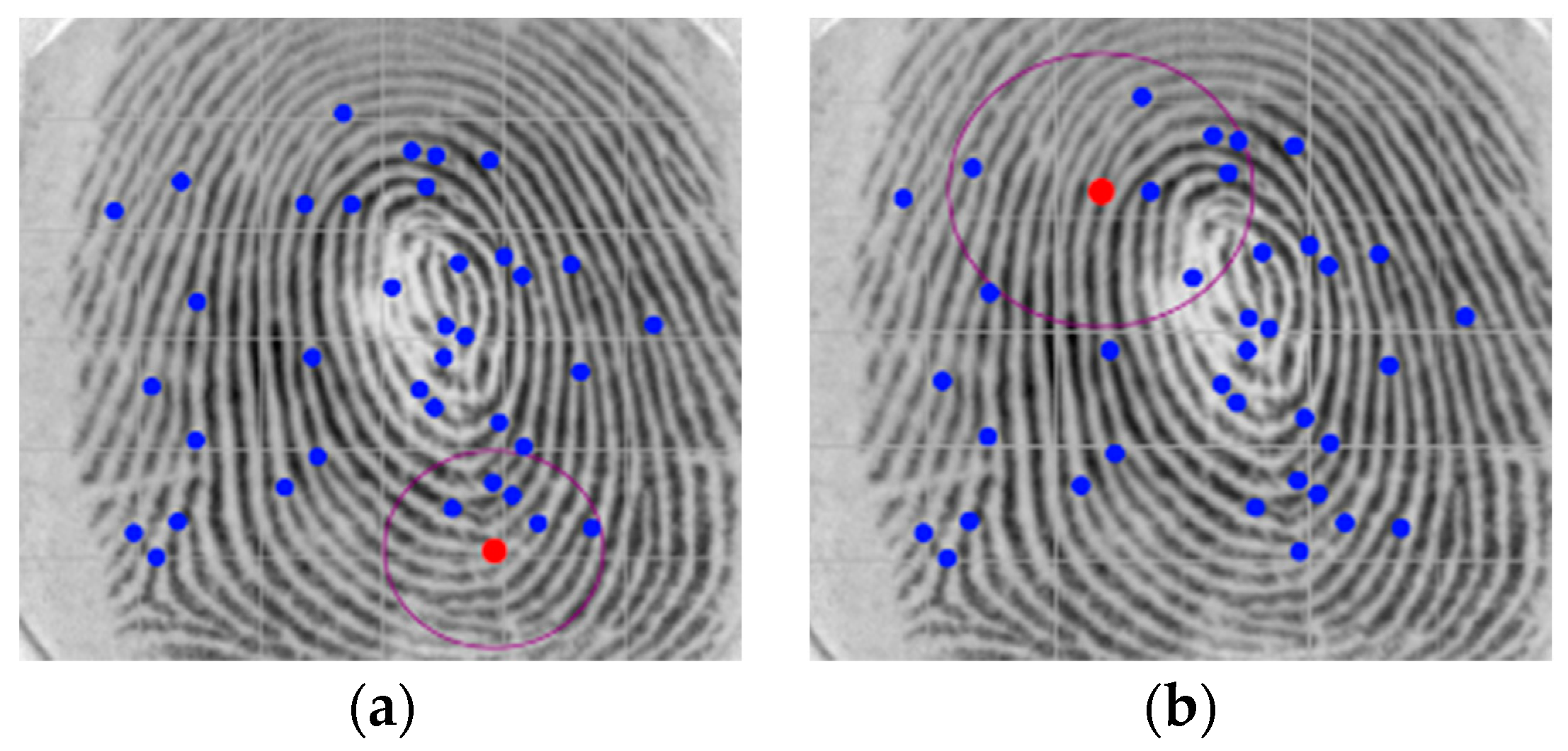 Fingerprint Recognition in Forensic Scenarios