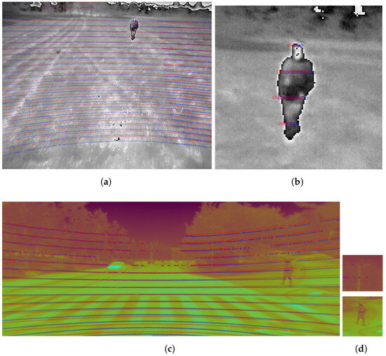Extrinsic Calibration of Thermal Camera and 3D LiDAR Sensor via Human ...