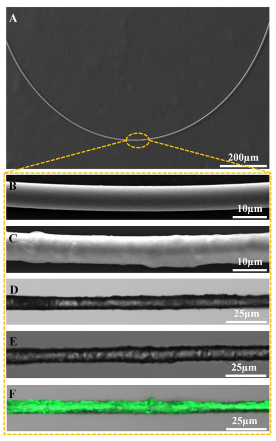 A Small Highly Sensitive Glucose Sensor Based on a Glucose Oxidase ...