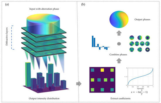 Using Diffraction Deep Neural Networks for Indirect Phase Recovery Based on Zernike Polynomials