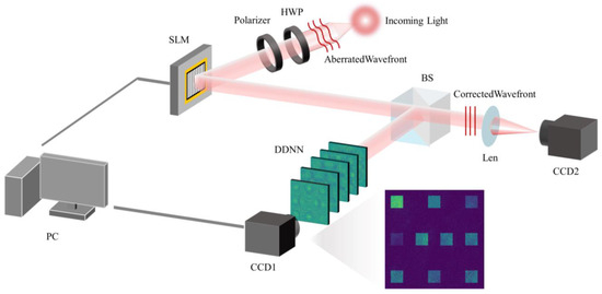 Using Diffraction Deep Neural Networks for Indirect Phase Recovery Based on Zernike Polynomials