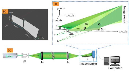 Sensors | Free Full-Text | Dual Field-of-View Off-Axis Spatially Multiplexed Digital Holography ...
