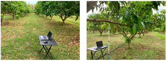 A Tree Attenuation Factor Model for a Low-Power Wide-Area Network in a ...