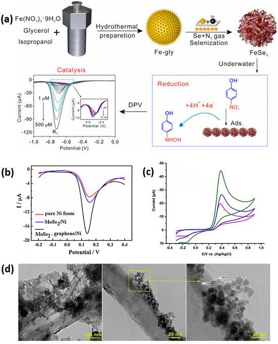 Electrochemical Sensors Based on Transition Metal Materials for ...