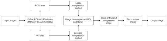 Image-Compression Techniques: Classical and “Region-of-Interest-Based ...