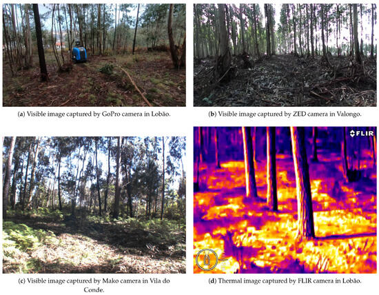 Sensors for Digital Transformation in Smart Forestry