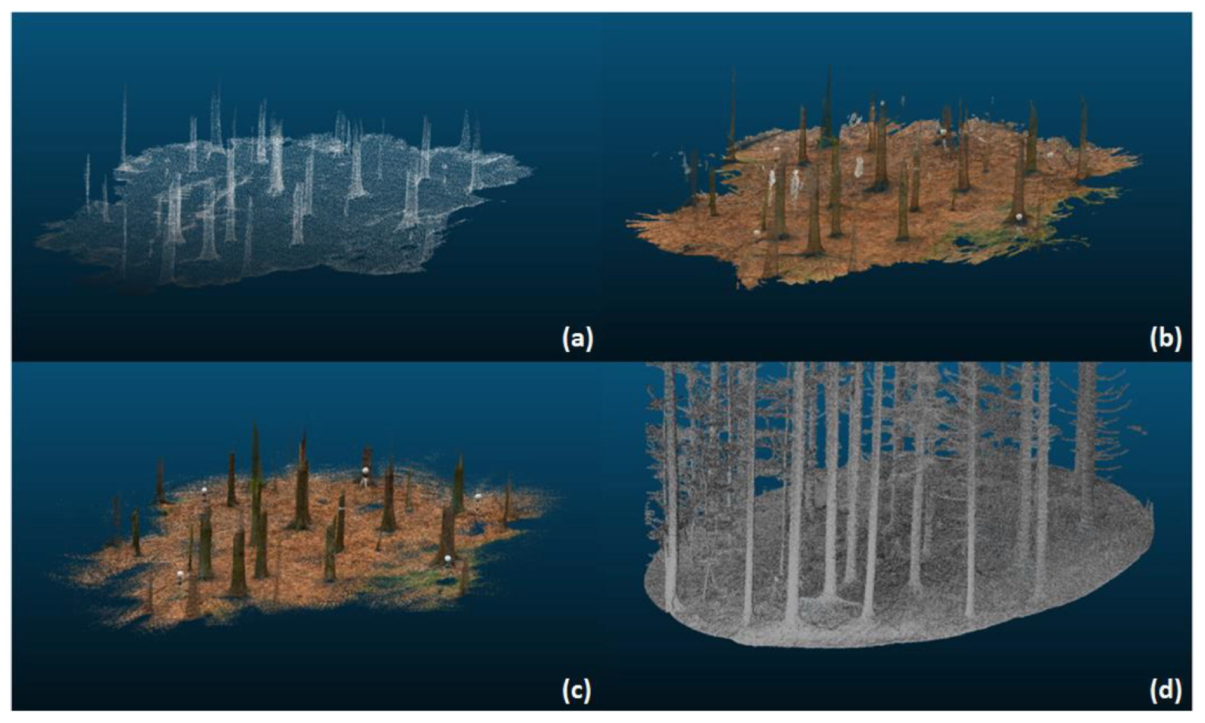 Sensors for Digital Transformation in Smart Forestry