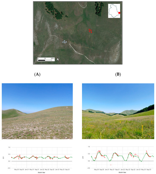 Leveraging Google Earth Engine for a More Effective Grassland Management: A Decision Support ...