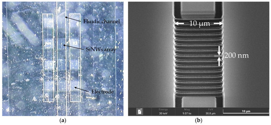 Implantable pH Sensing System Using Vertically Stacked Silicon Nanowire ...
