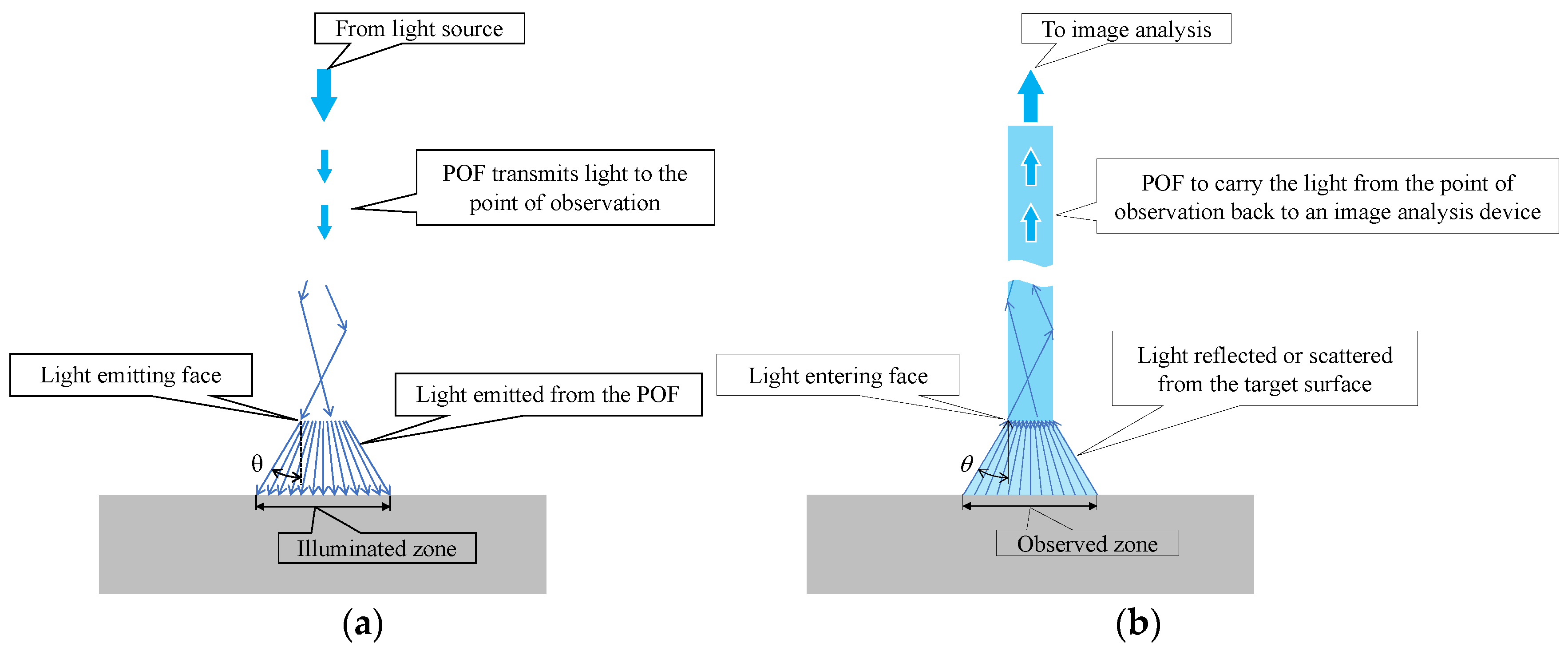 Experimental Investigation for Monitoring Corrosion Using Plastic ...