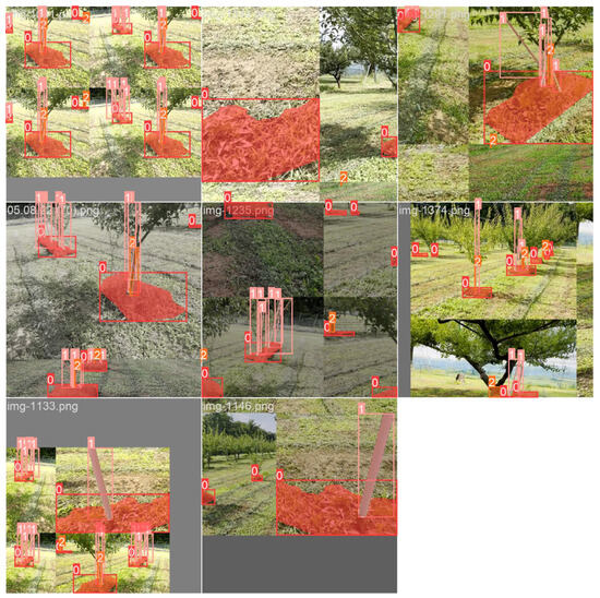 Intrarow Uncut Weed Detection Using You-Only-Look-Once Instance Segmentation for Orchard Plantations