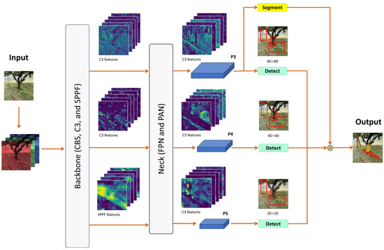 Intrarow Uncut Weed Detection Using You-Only-Look-Once Instance ...