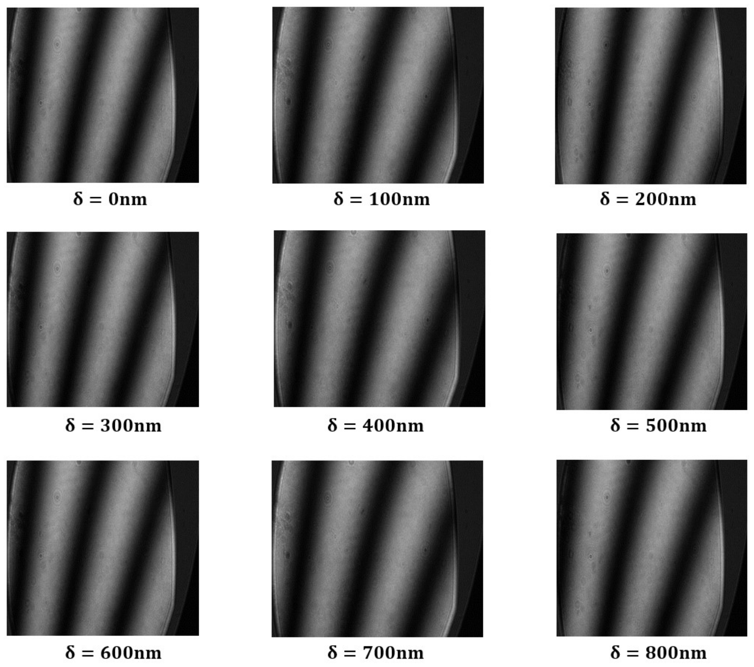 Investigation into the Co-Phase Detection Methodology for Segmented ...