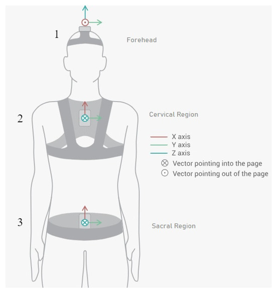 BackMov: Individualized Motion Capture-Based Test to Assess Low Back ...