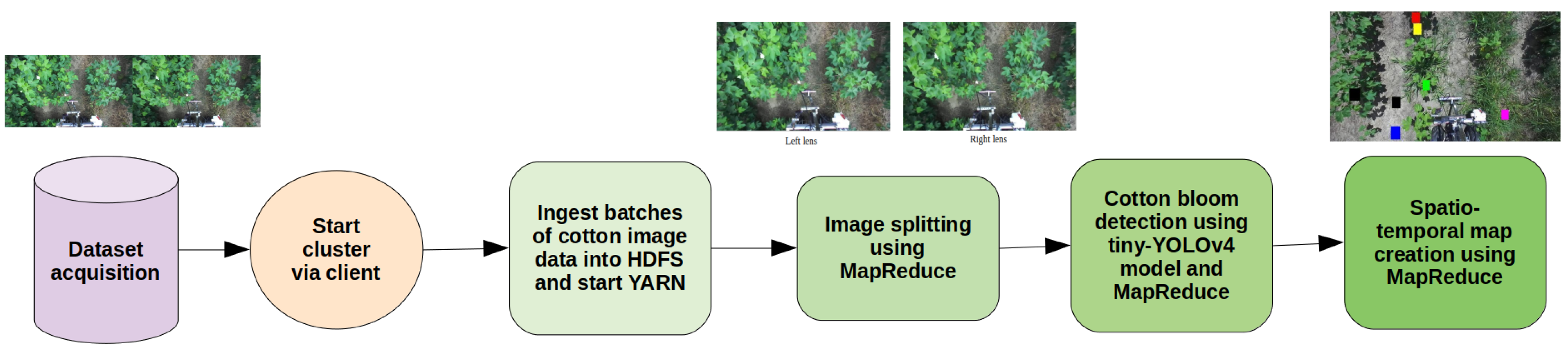 Development of a Low-Cost Distributed Computing Pipeline for High-Throughput Cotton Phenotyping