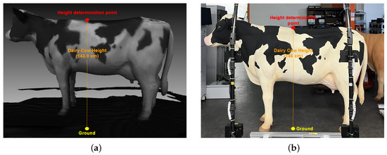 Utilizing 3D Point Cloud Technology with Deep Learning for Automated Measurement and Analysis of ...