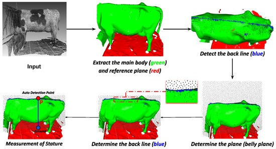 Utilizing 3D Point Cloud Technology with Deep Learning for Automated Measurement and Analysis of ...