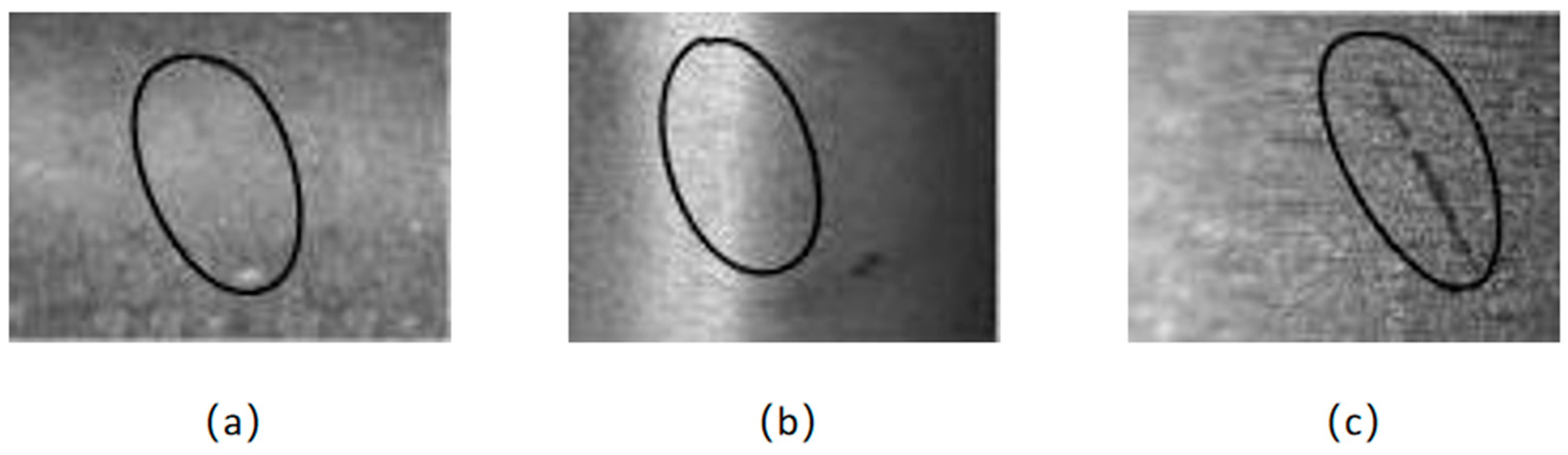 Adaptive Segmentation Algorithm for Subtle Defect Images on the Surface of Magnetic Ring Using ...