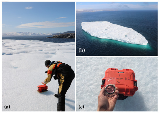 Cryologger Ice Tracking Beacon: A Low-Cost, Open-Source Platform for ...