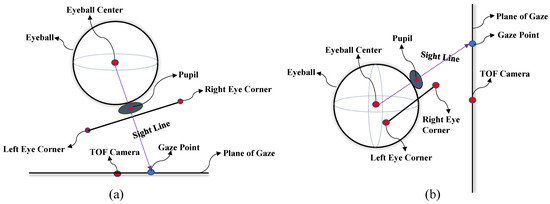 Model-Based 3D Gaze Estimation Using a TOF Camera