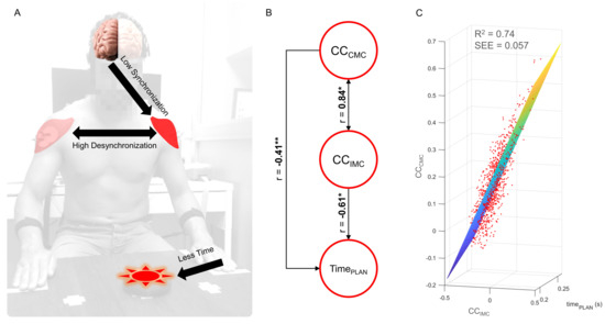 Sensors | Free Full-Text | Assessing Cognitive Workload in Motor Decision-Making through ...