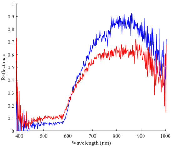HyperVein: A Hyperspectral Image Dataset for Human Vein Detection