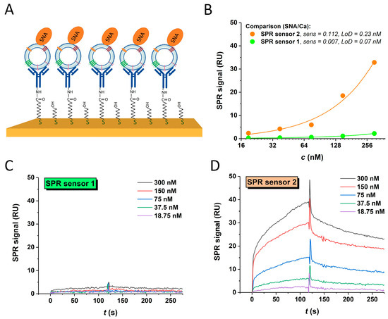 Negative Charge-Carrying Glycans Attached to Exosomes as Novel Liquid ...