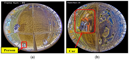 Sensors | Free Full-Text | Customized Tracking Algorithm for Robust Cattle Detection and ...