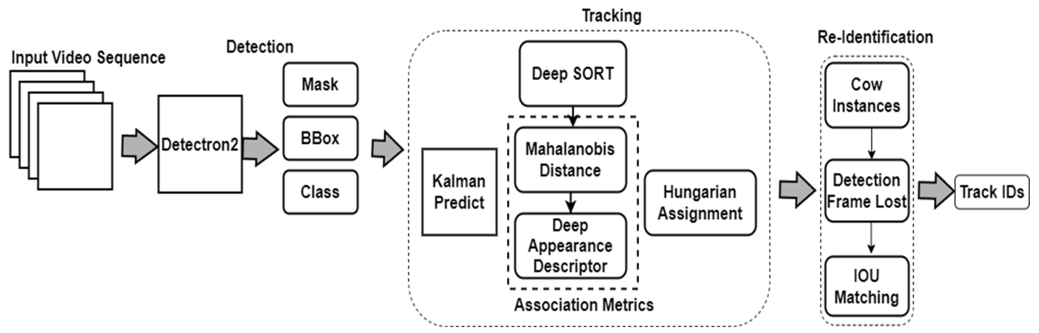 Sensors | Free Full-Text | Customized Tracking Algorithm for Robust Cattle Detection and ...