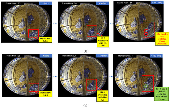 Sensors | Free Full-Text | Customized Tracking Algorithm for Robust Cattle Detection and ...