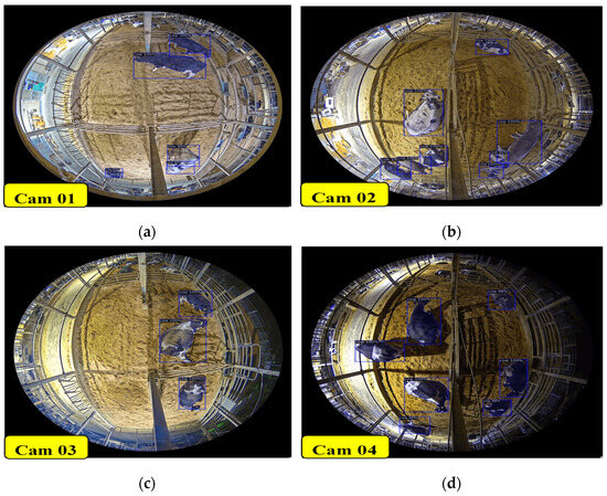 Sensors | Free Full-Text | Customized Tracking Algorithm for Robust Cattle Detection and ...