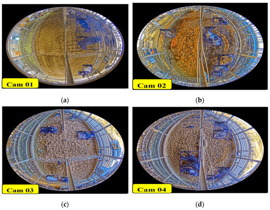 Sensors | Free Full-Text | Customized Tracking Algorithm for Robust Cattle Detection and ...