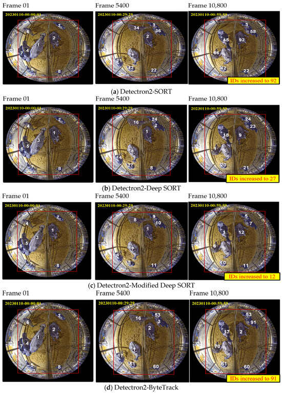 Sensors Free Full Text Customized Tracking Algorithm For Robust Cattle Detection And