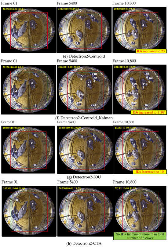 Sensors | Free Full-Text | Customized Tracking Algorithm for Robust Cattle Detection and ...