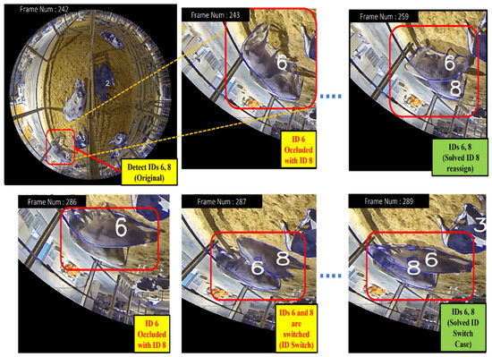 Sensors | Free Full-Text | Customized Tracking Algorithm for Robust Cattle Detection and ...