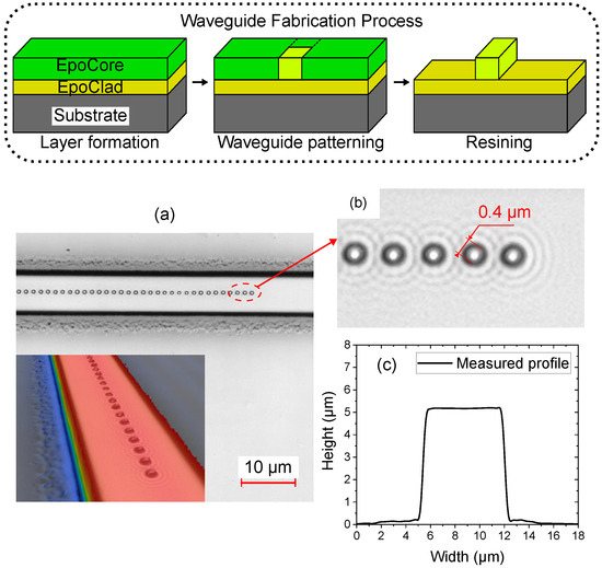 Polymer Waveguide Sensor Based on Evanescent Bragg Grating for Lab-on-a ...