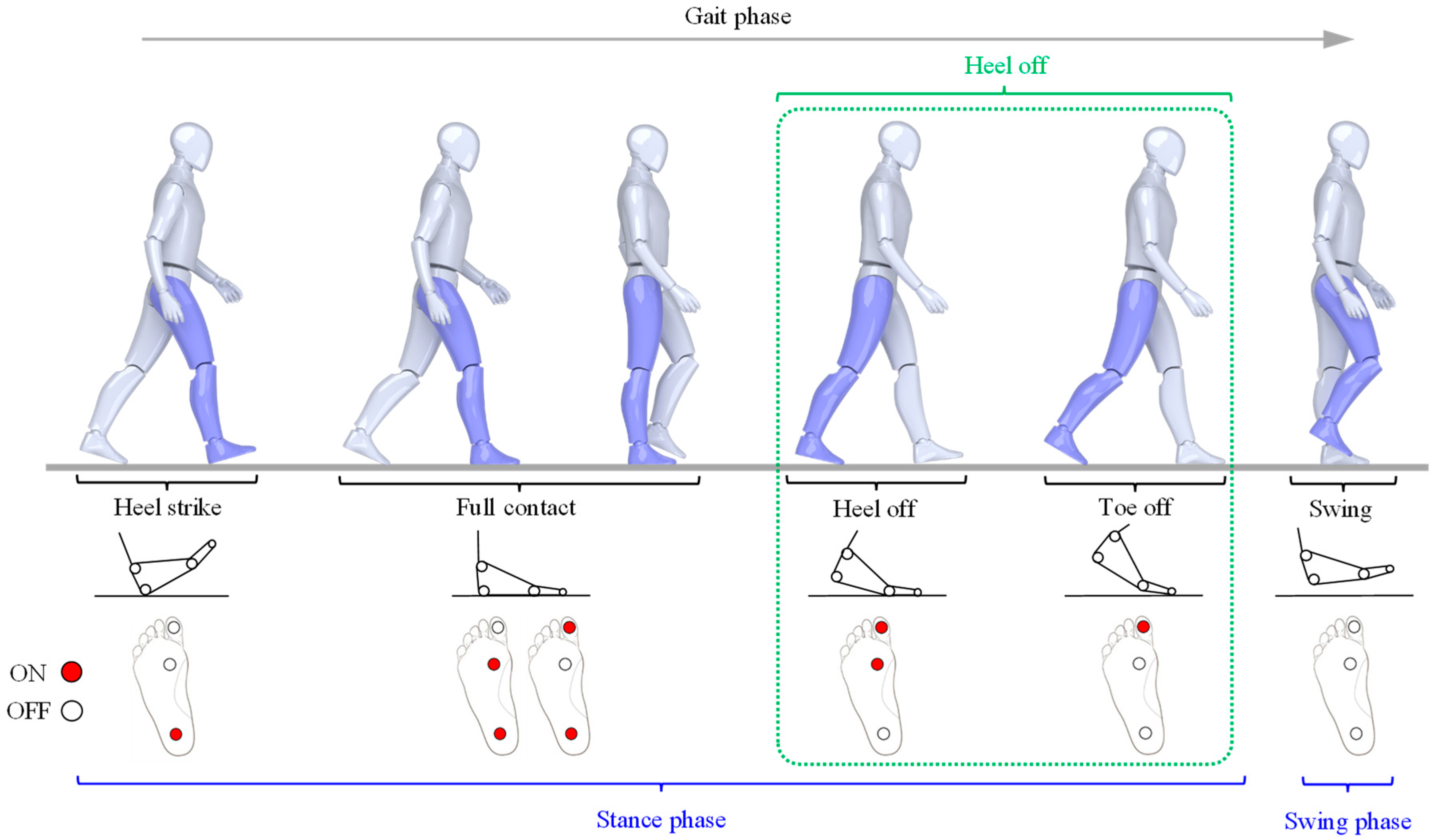 Bi-Directional Long Short-Term Memory-Based Gait Phase Recognition Method Robust to Directional ...
