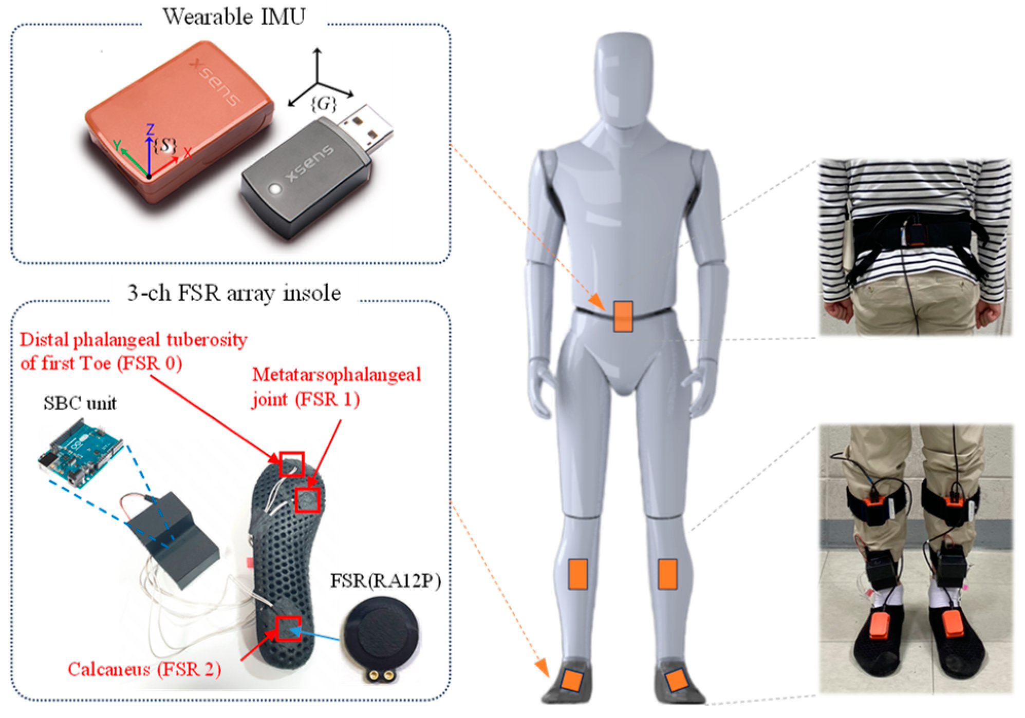 Bi Directional Long Short Term Memory Based Gait Phase Recognition