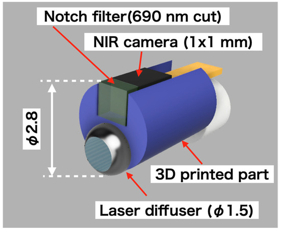 Near-Infrared Fluorescence Imaging Sensor with Laser Diffuser for ...