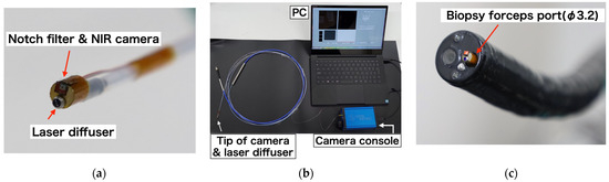 Near-Infrared Fluorescence Imaging Sensor with Laser Diffuser for Visualizing Photoimmunotherapy ...