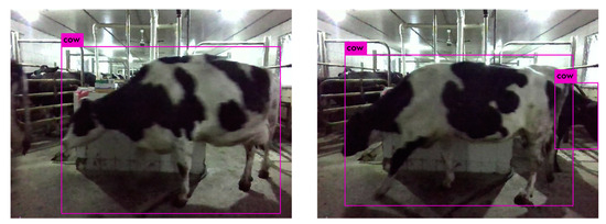 Computer-Vision-Based Sensing Technologies for Livestock Body Dimension ...