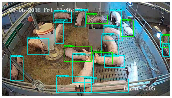 Computer-Vision-Based Sensing Technologies for Livestock Body Dimension ...