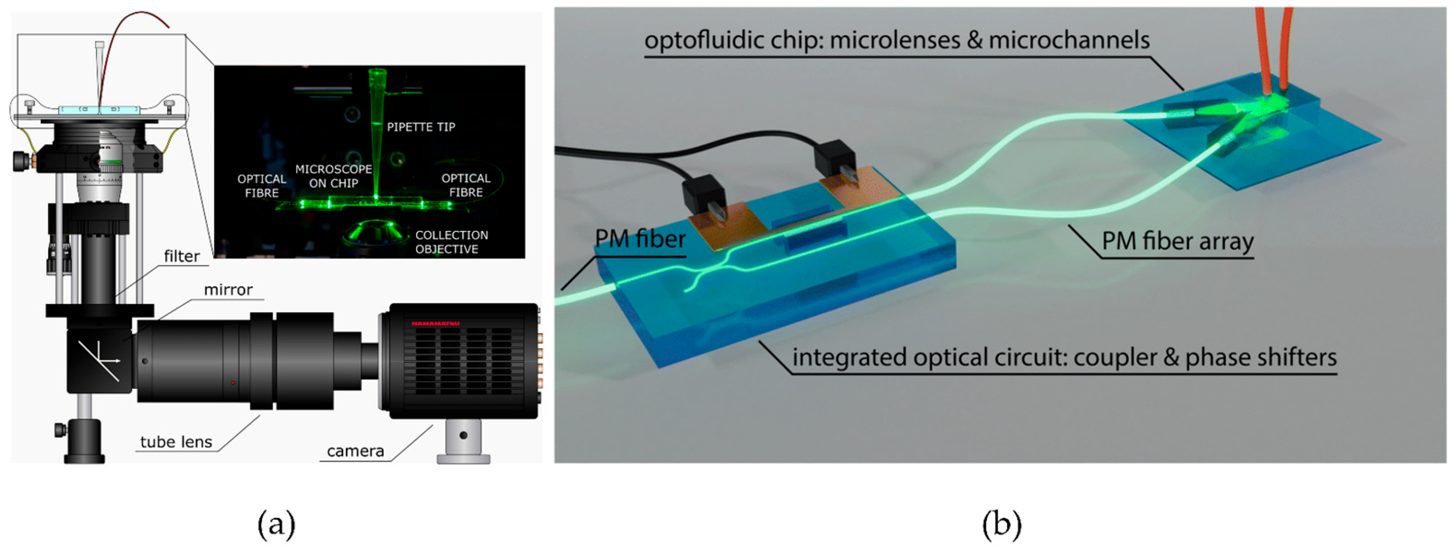 Sensors | Free Full-Text | On-Chip Photonic Detection Techniques for Non-Invasive In Situ ...