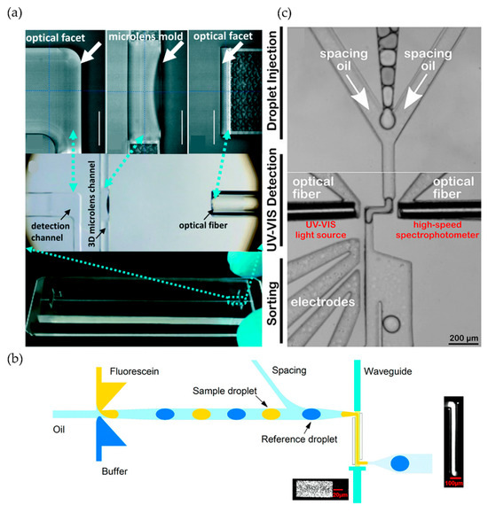 On-Chip Photonic Detection Techniques for Non-Invasive In Situ ...